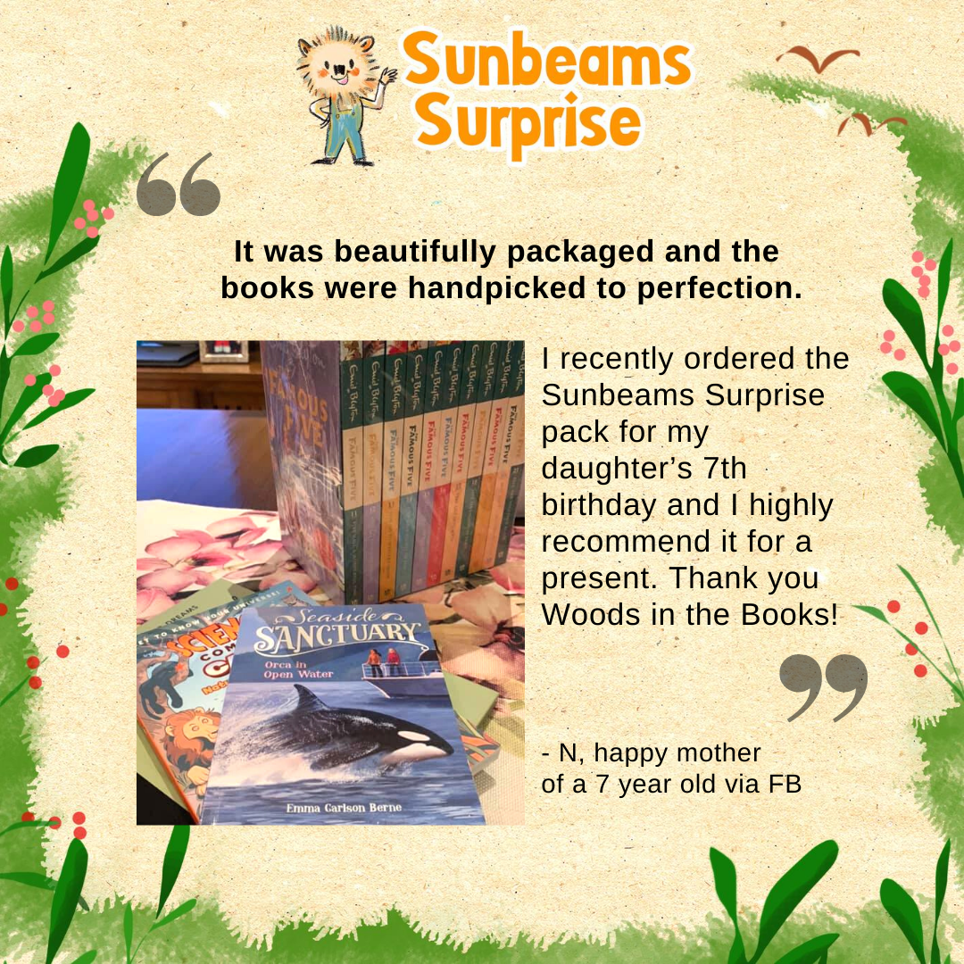 Sunbeams Surprise: Sunny Day Pack Books Only | Books | Illustrated ...