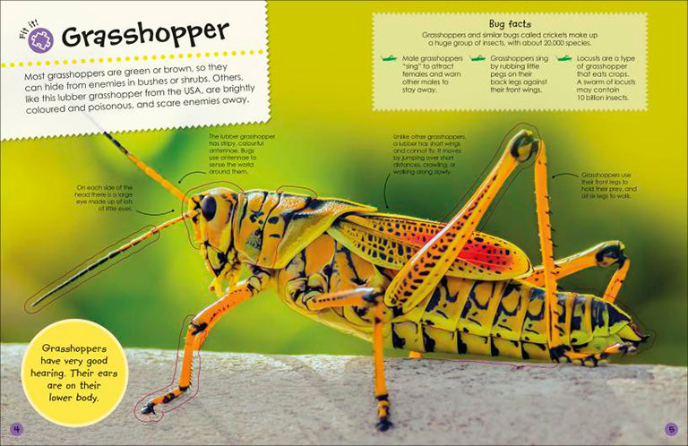 Ultimate Sticker Book Bugs | Books | Illustrated Picture Books