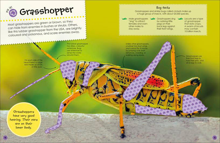 Ultimate Sticker Book Bugs | Books | Illustrated Picture Books