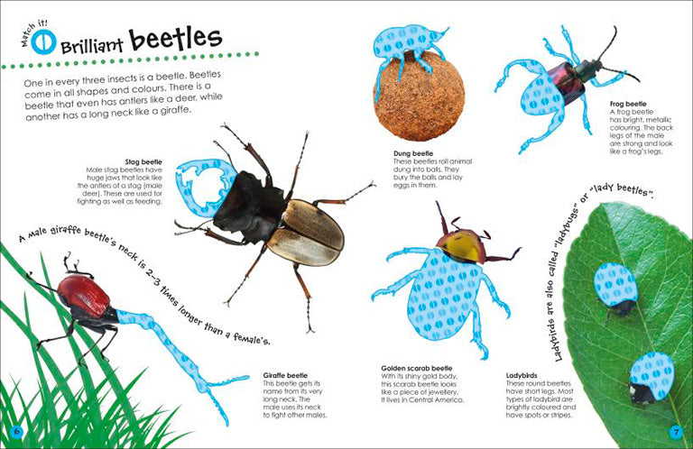 Ultimate Sticker Book Bugs | Books | Illustrated Picture Books